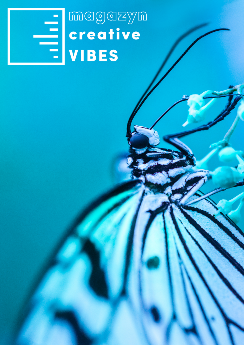 magazyn CREATIVE VIBES